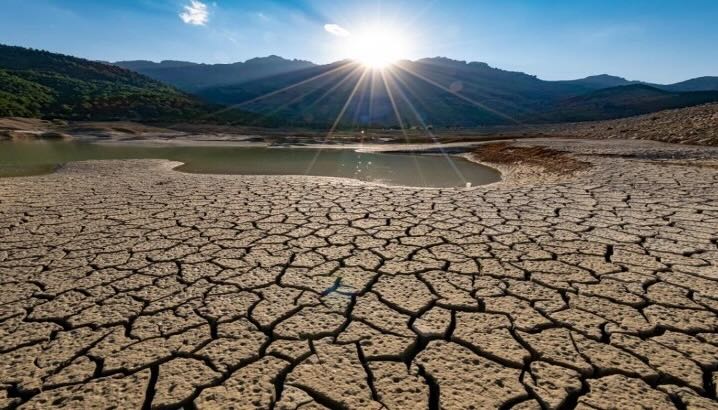 Cereali e dintorni. Un USDA tranquillo. ( per le notizie complete e in ...